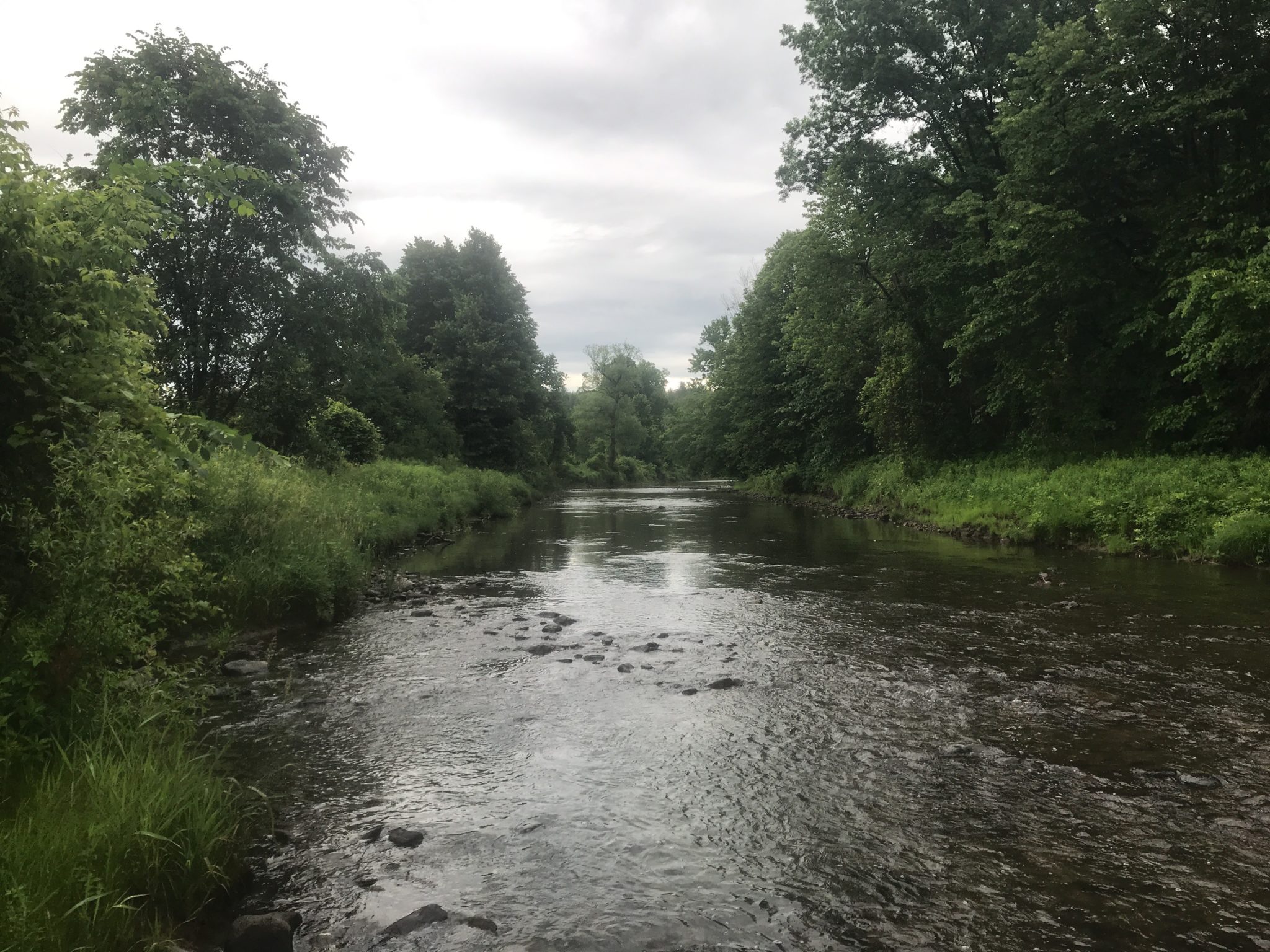 Protecting Vermont’s Wetlands