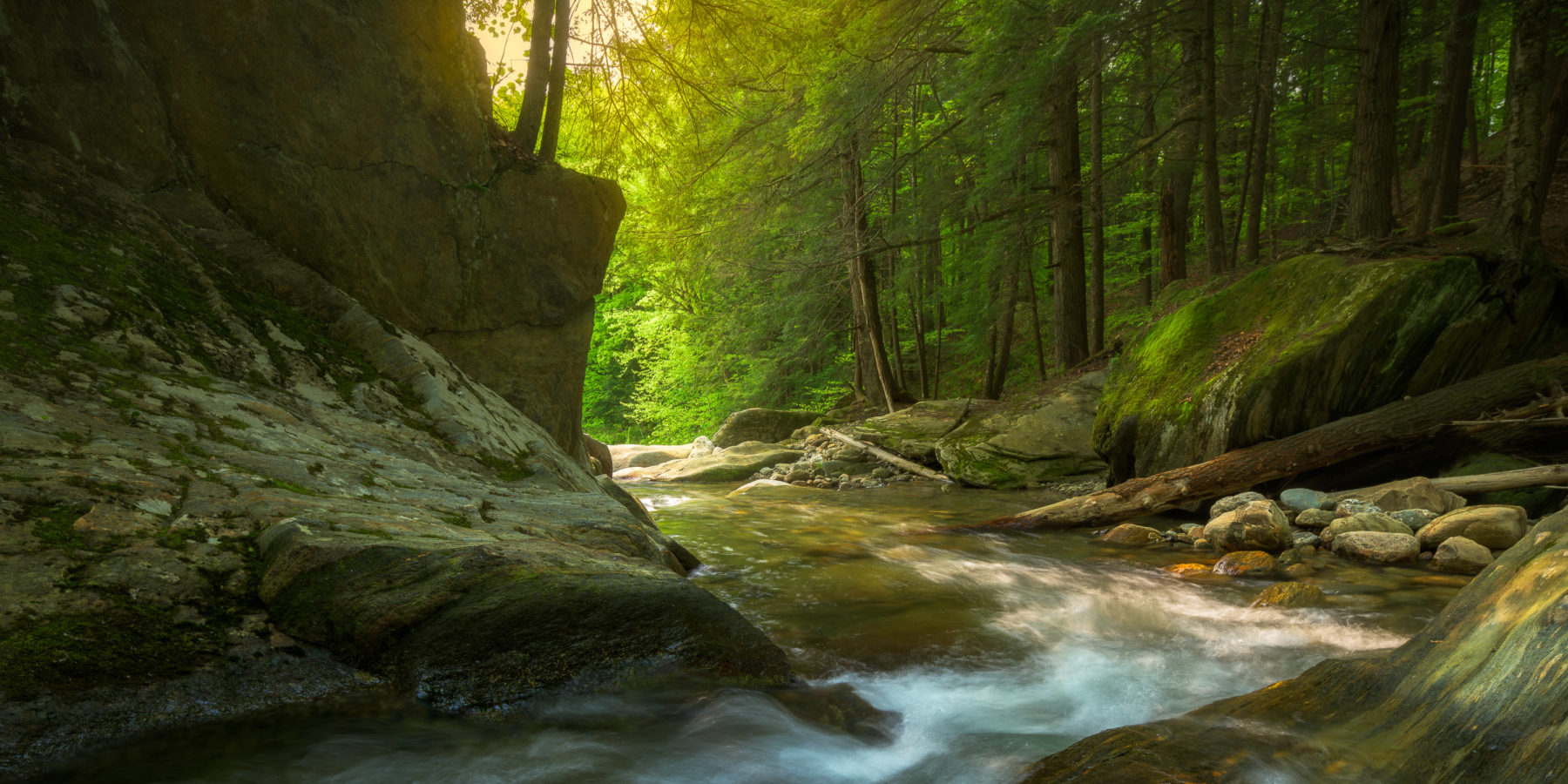 Landowner Toolbox | Vermont River Conservancy