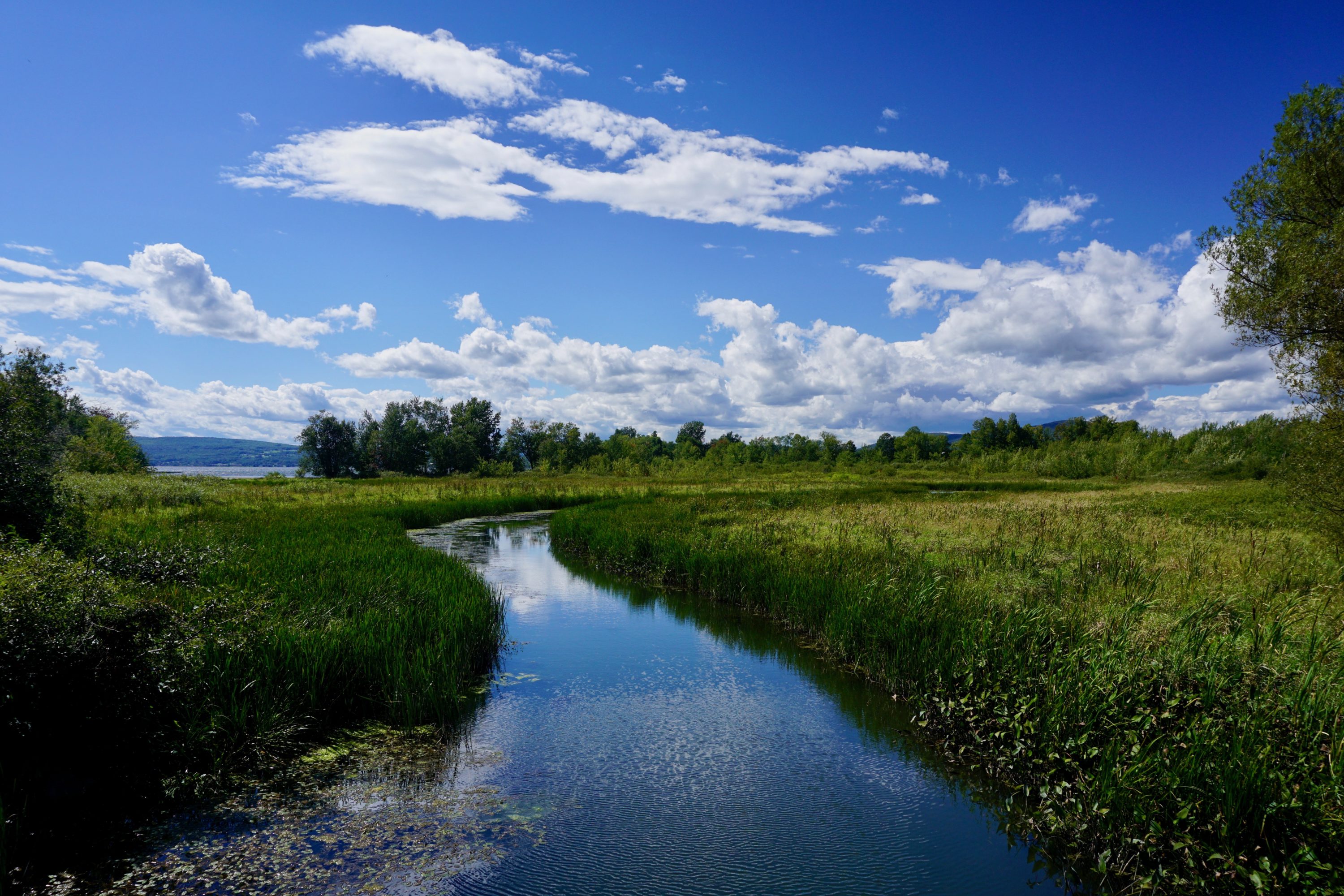 Understanding Rivers Through Poetry