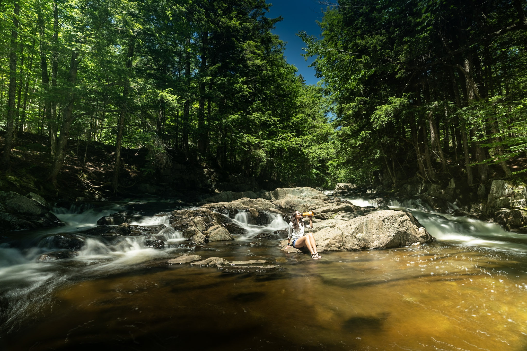 Know Before You Go: Water Quality on Vermont’s Rivers