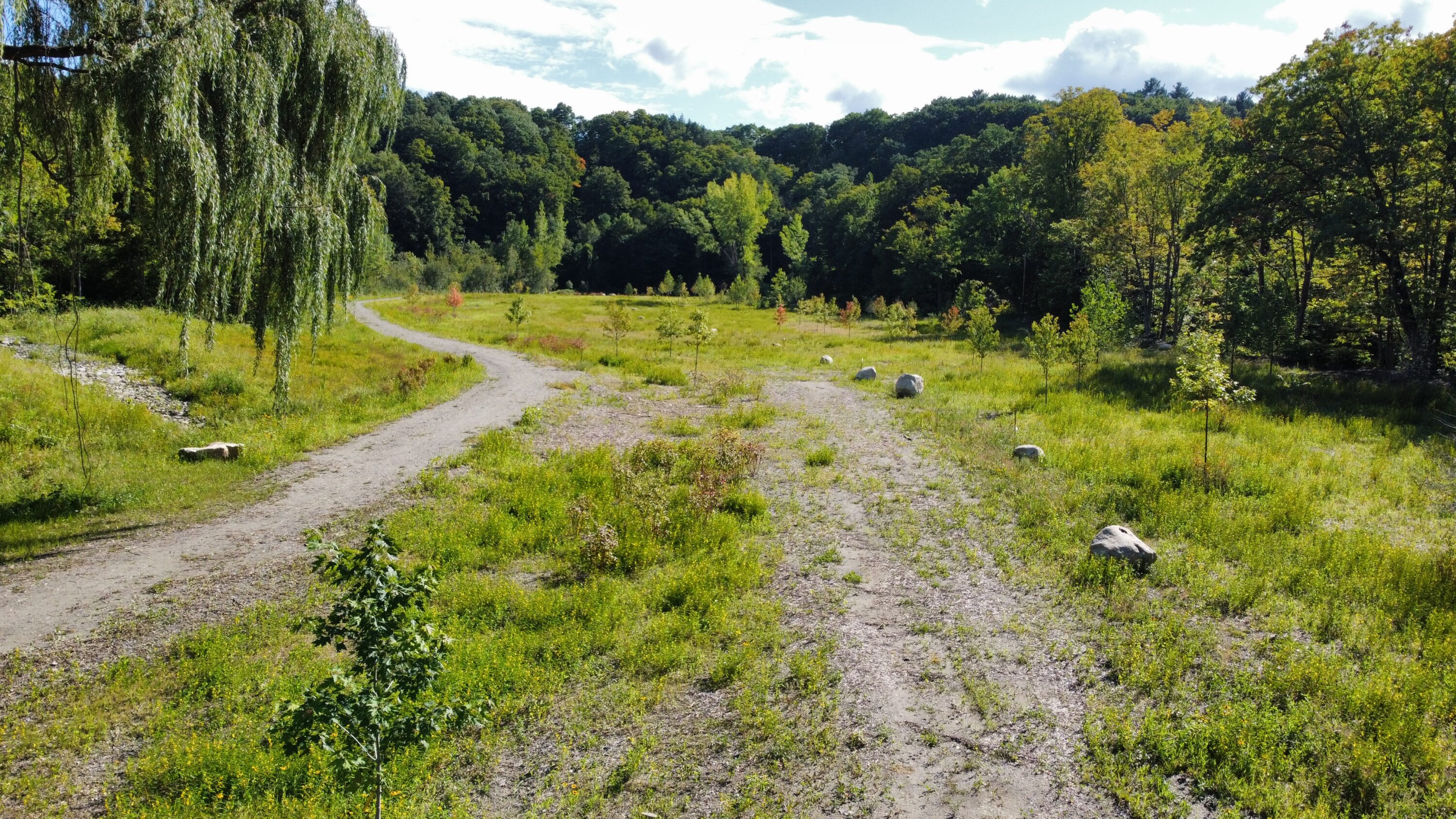 Kikitta Ahki | Brattleboro River Park