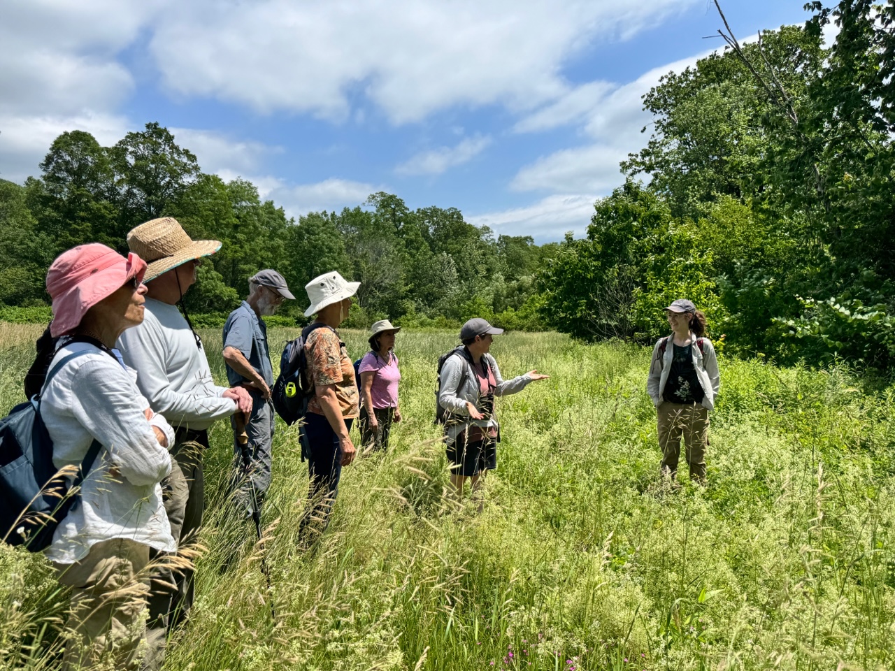 A Glimpse Into A Conservationist’s Everyday Work